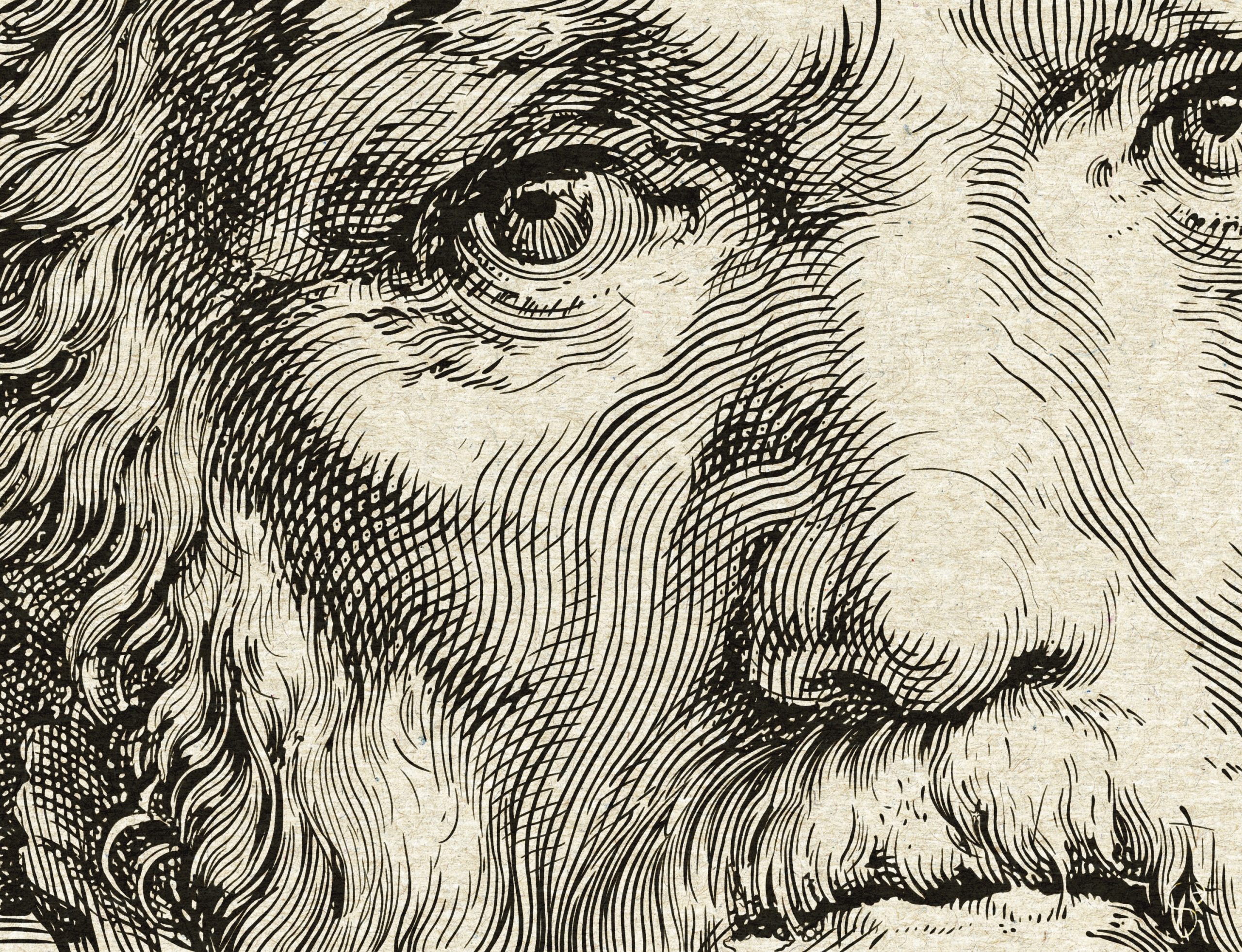 Simon Hemery - Illustrations